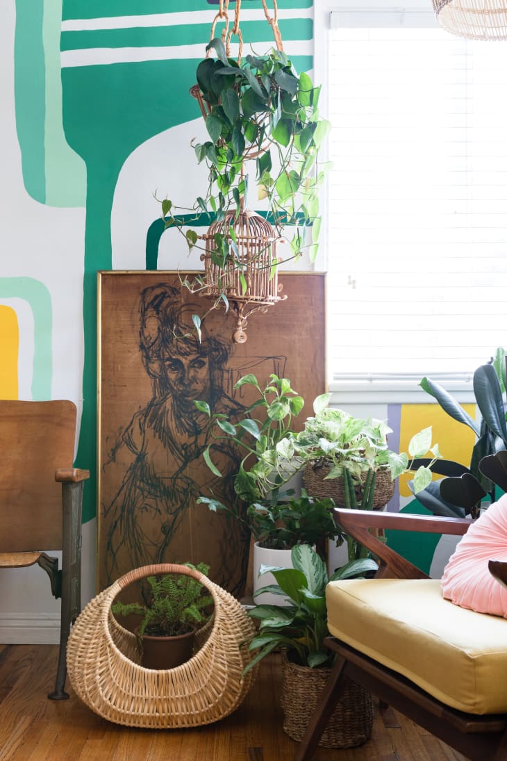 How to Display Houseplants: 100 of Our Favorite Plant-Display Ideas ...