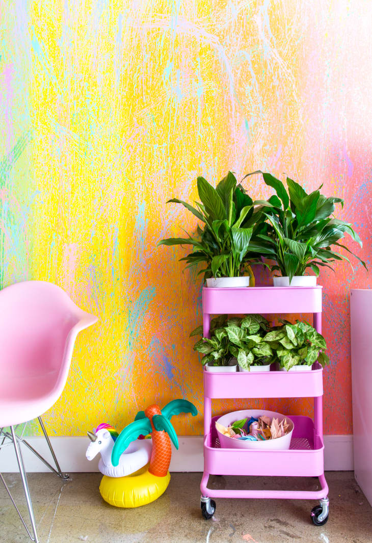 How to Display Houseplants: 100 of Our Favorite Plant-Display Ideas ...