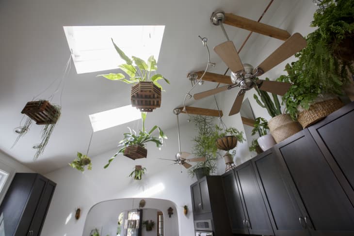 How to Display Houseplants: 100 of Our Favorite Plant-Display Ideas ...