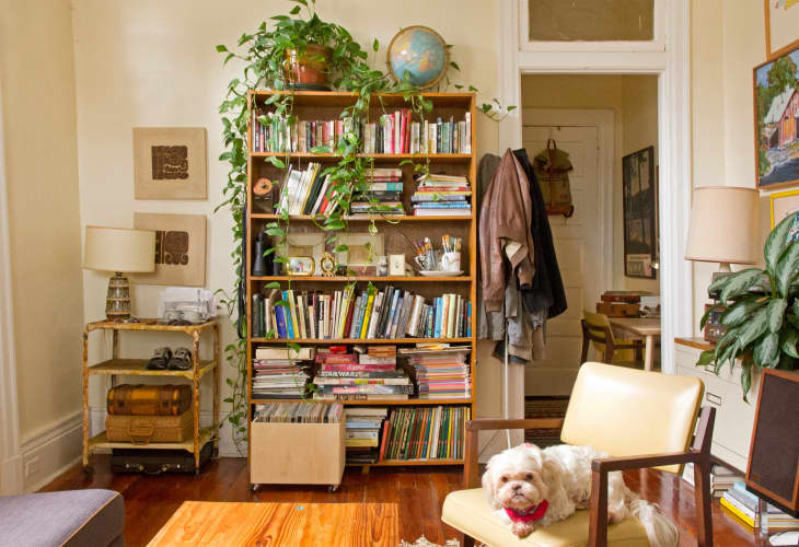 The Most Outdated Living Room Trends | Apartment Therapy