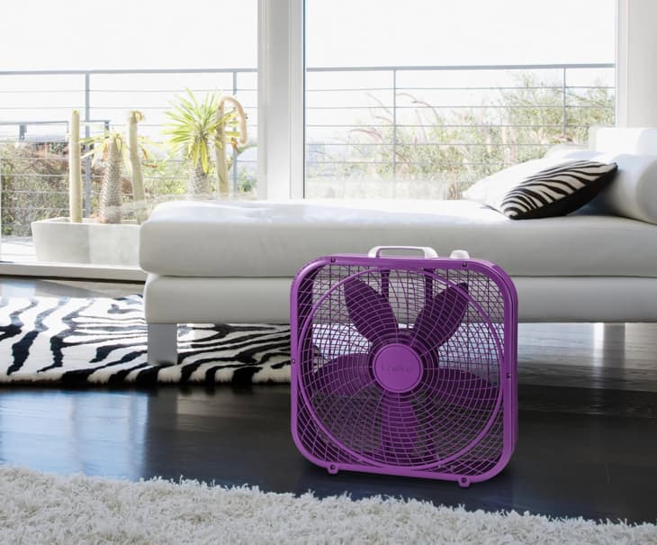This Box Fan Comes in the Coolest Colors and Has More Than 4,500 5-Star ...