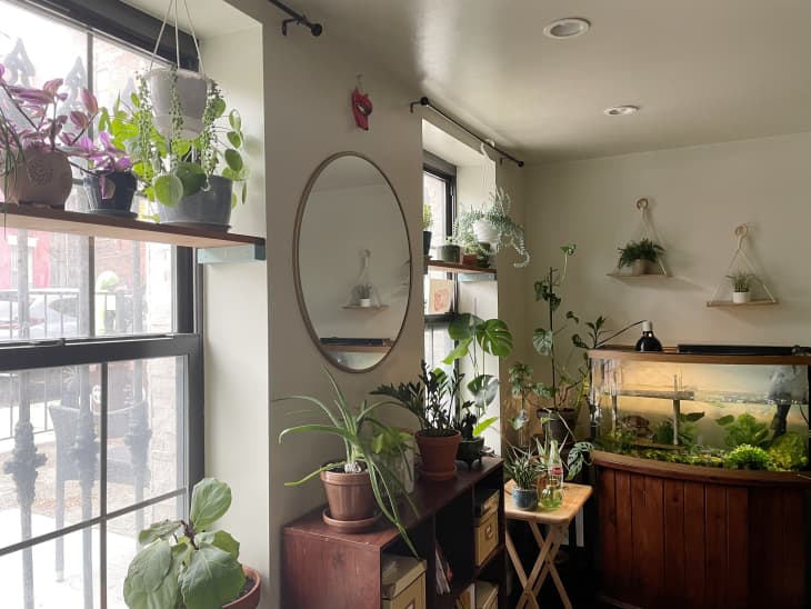 Trans Artists Show Queer Pride in Home Decor | Apartment Therapy