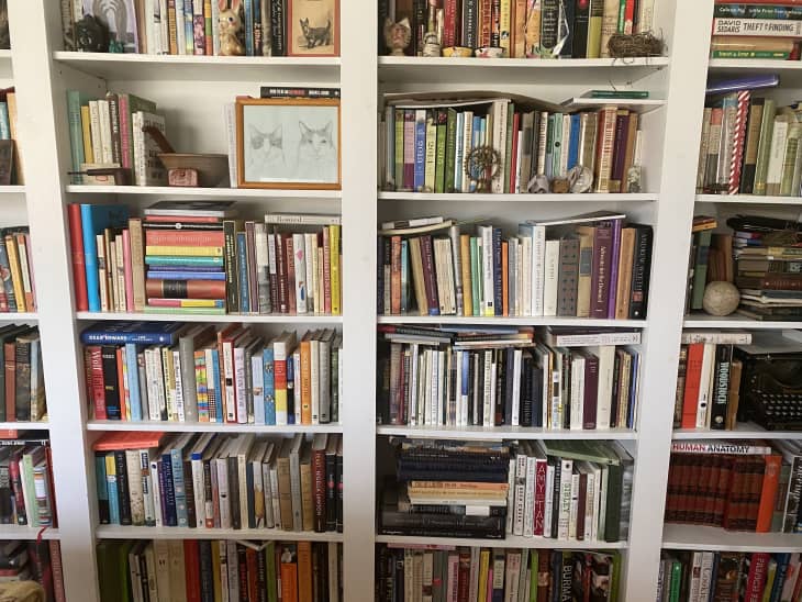 How Four Authors Organize and Declutter Their Massive Book Collections ...