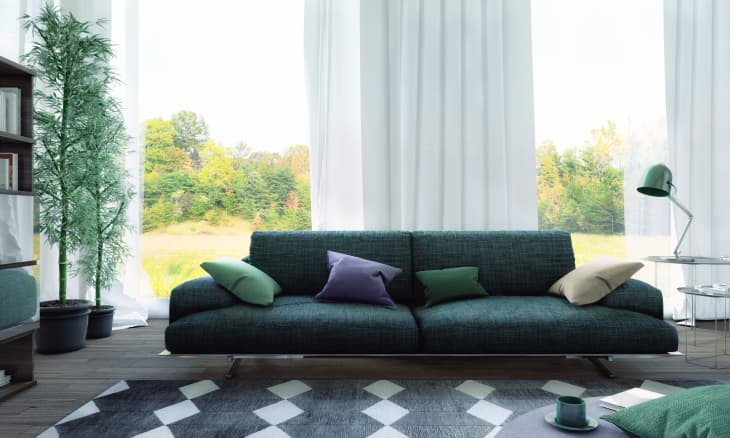 Sofa Dermatitis — What It's Like to Be Allergic To Your Couch ...