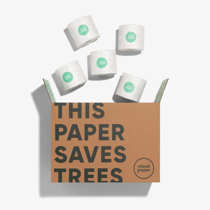 Cloud Paper Bamboo Toilet Paper Review | Apartment Therapy
