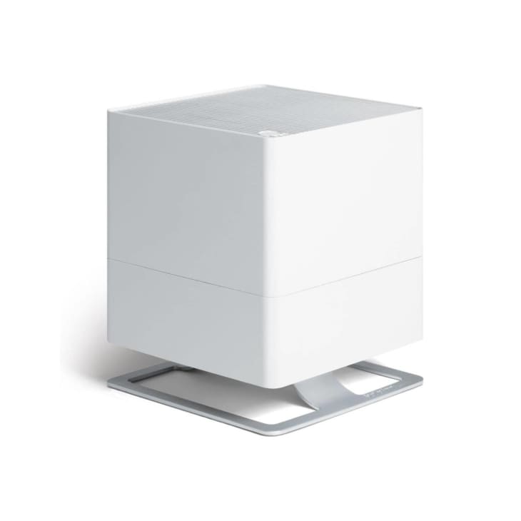 How Much Humidity Is Too Much? How to Control It at Home | Apartment ...