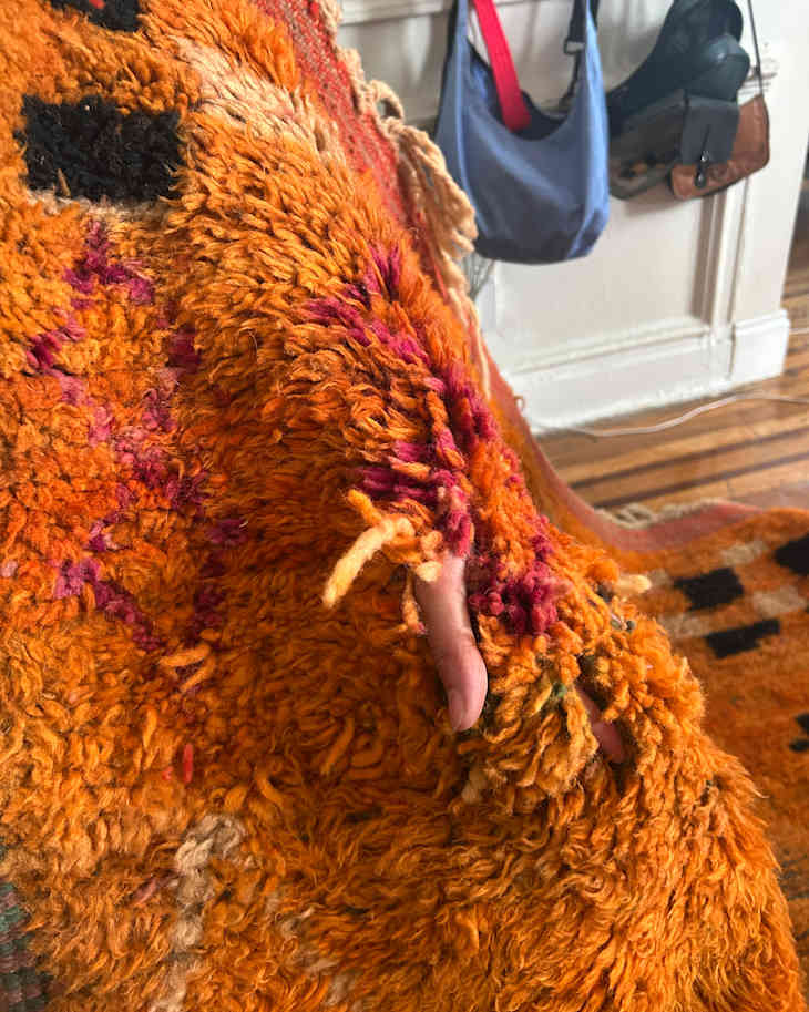 How to Exterminate Clothing Moths, According to Pros | Apartment Therapy