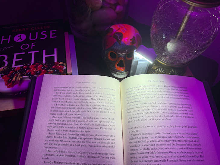 Why I Love the Glocusent Rechargeable Book Light (Review) | Apartment ...