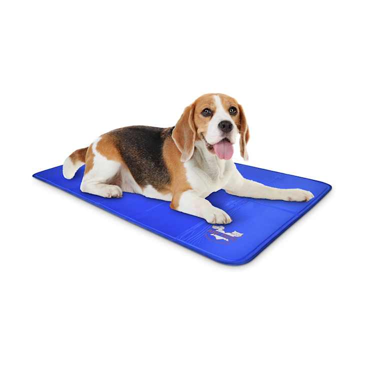 I Used This Mat After My AC Broke, and It’s My Smartest Self Cooling ...