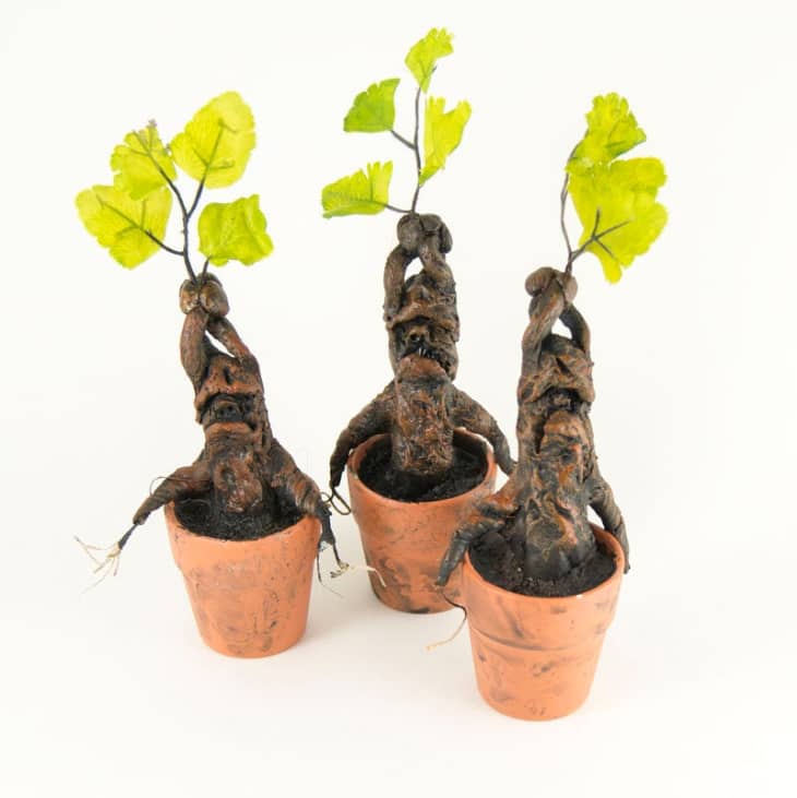 Etsy Harry Potter Mandrake Plants | Apartment Therapy
