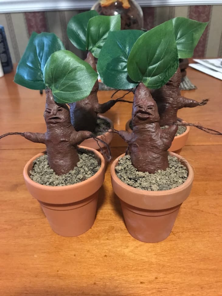 Etsy Harry Potter Mandrake Plants | Apartment Therapy