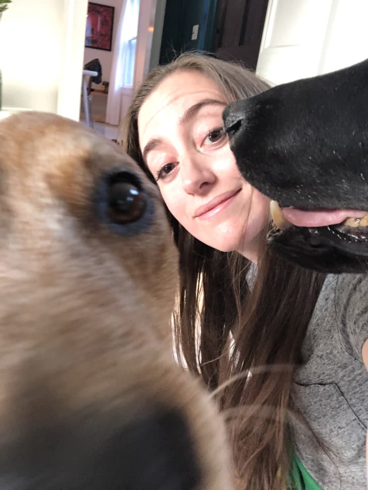 Amazon Pooch Selfie Dog Selfie Stick Test Apartment Therapy