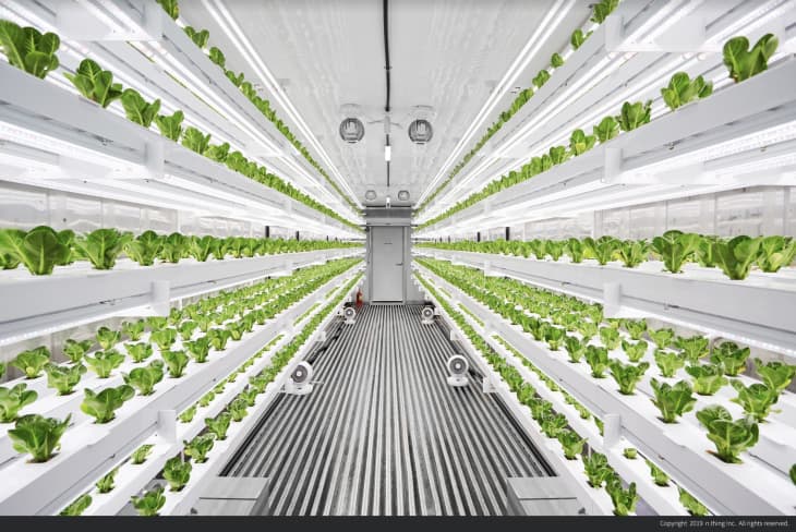 Shipping Container Farms - n.thing | Apartment Therapy
