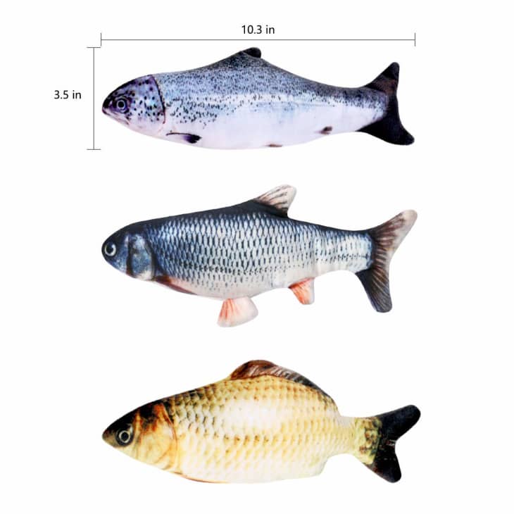 Battery-Powered Fish Toy For Cats | Apartment Therapy