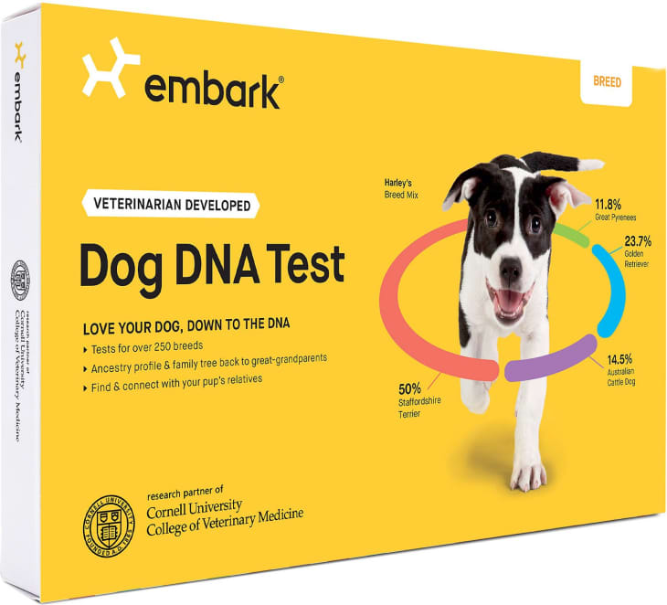 Best Dog DNA Test - Why Embark Is the Top Dog DNA Tester | Apartment ...