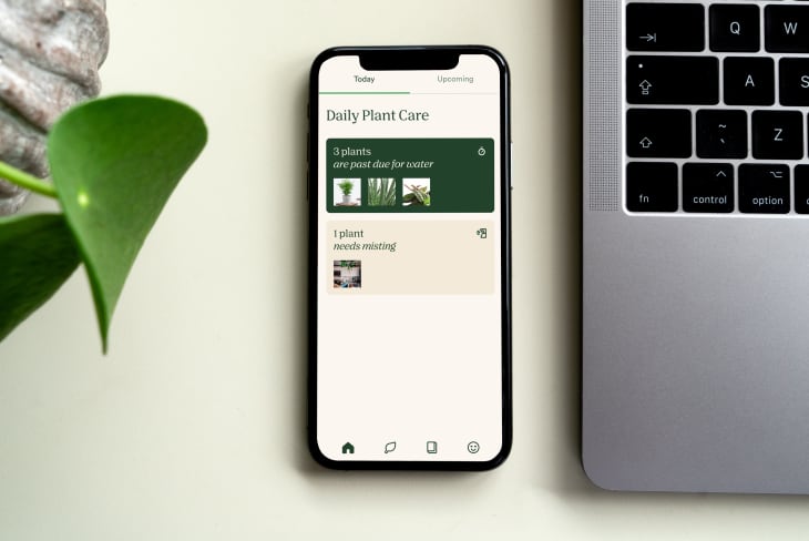 This Free App Reminds You to Water Your Plants | Apartment Therapy