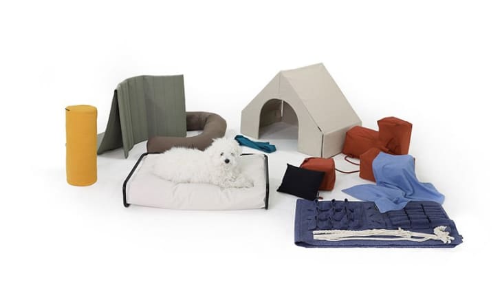 Modular Dog Bed Dog Personality Types | Apartment Therapy