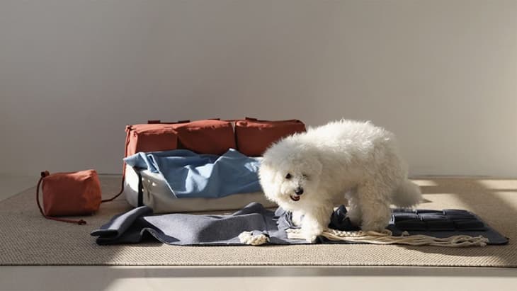 Modular Dog Bed Dog Personality Types | Apartment Therapy