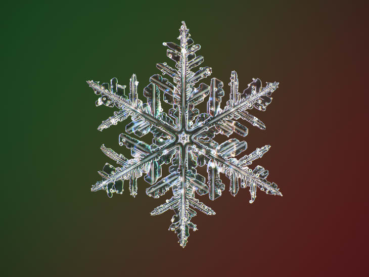 High Resolution Snowflake Photos | Apartment Therapy