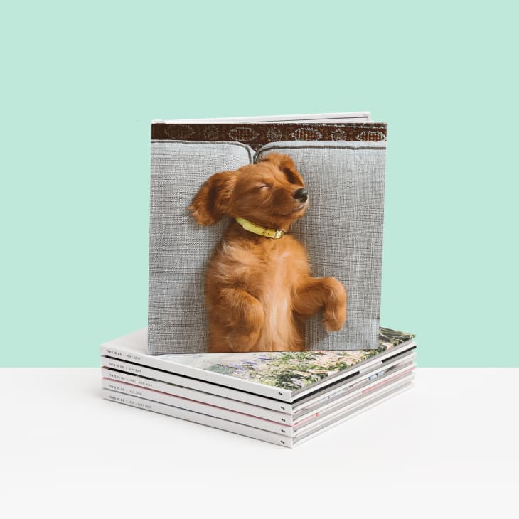 These Photo Books Automatically Capture Your Pet’s First Year on ...