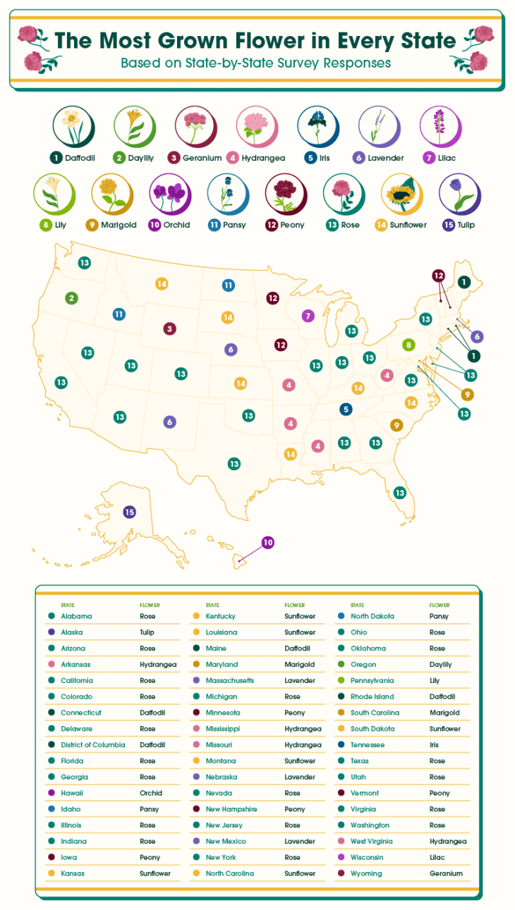 These Are the Most Popular Flowers In Your State | Apartment Therapy