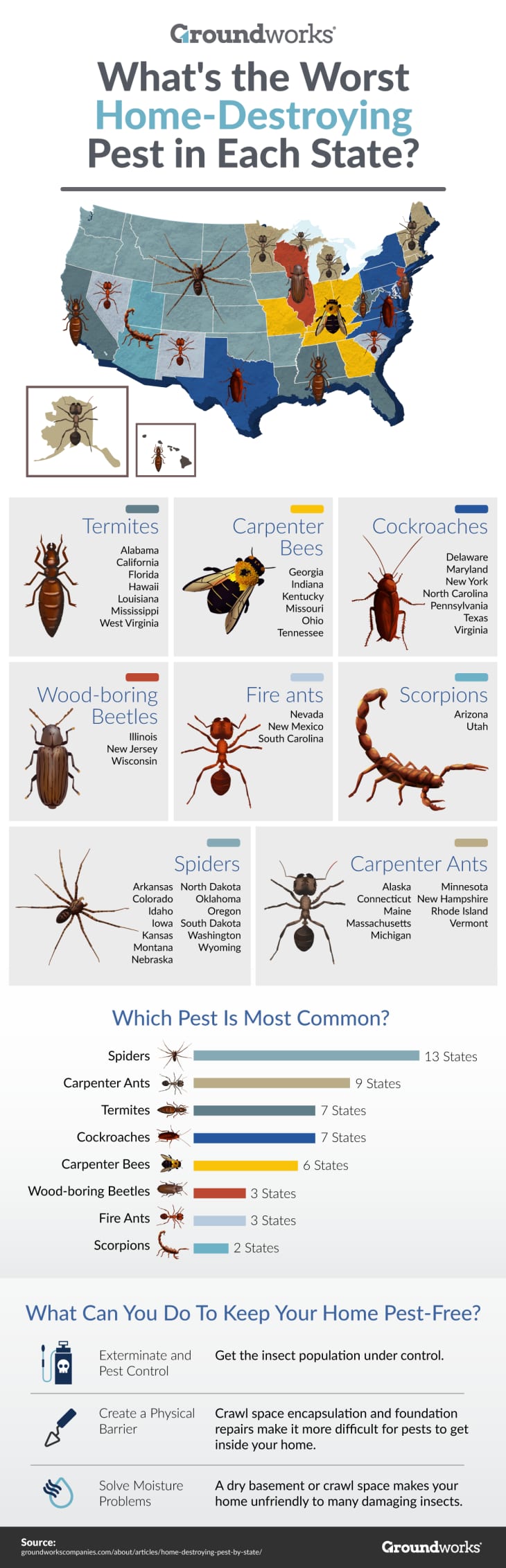 Here Are the Most Common Pests You’ll Find at Home in Each State ...