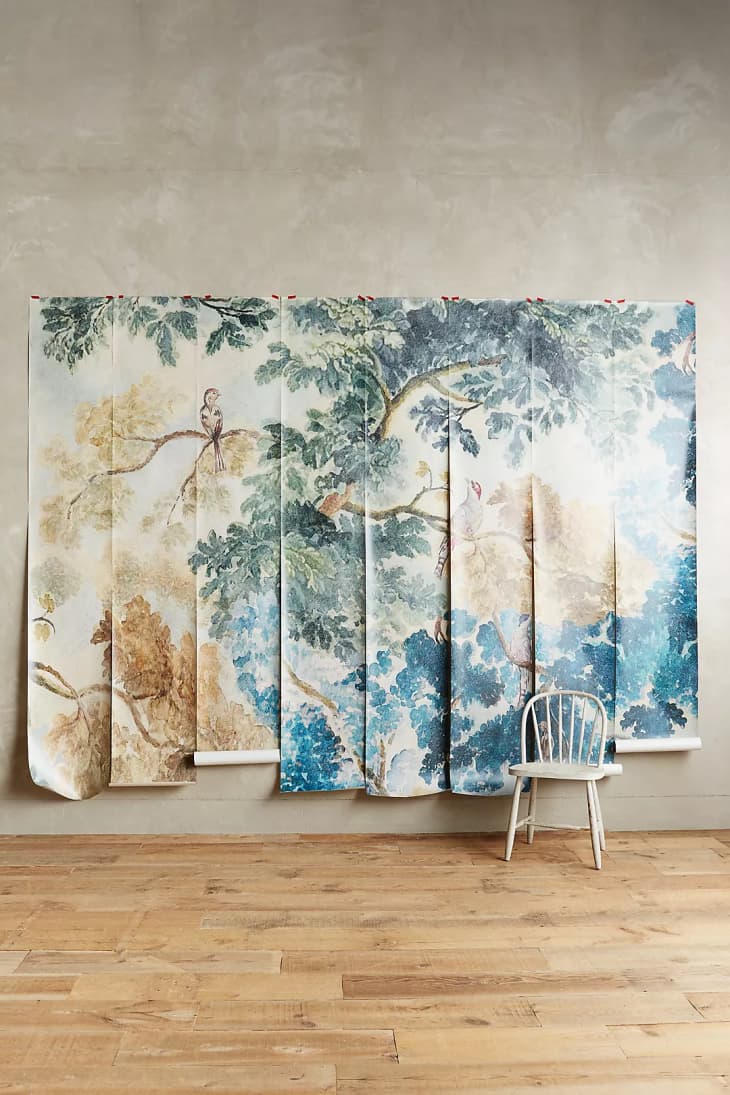 Grab Vanessa Carlton’s “Magic” Wall Mural From Anthropologie ...