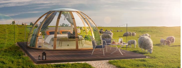 This Glamping Pod Has Literal Sheep You Can Count To Have a Good Night ...