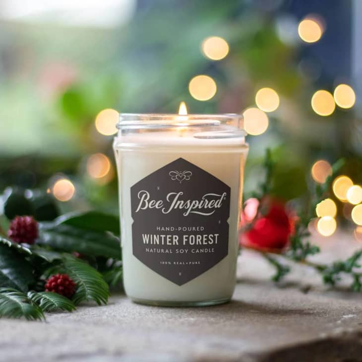 The Top 17 Best Winter Candles of 2023 | Apartment Therapy