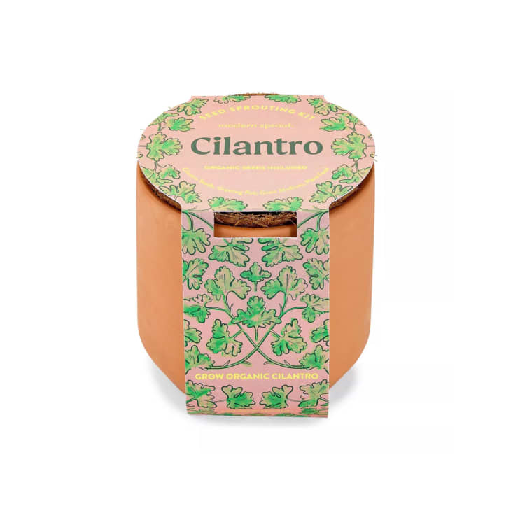 Target’s Seed Planting Kits Are $13 and Perfect for Spring | Apartment ...