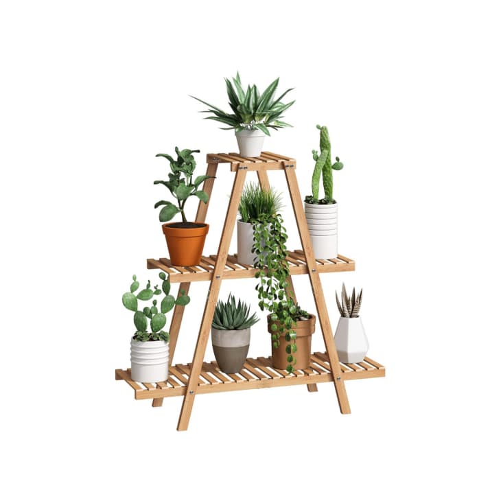 Aldi Is Selling a $25 3-Tiered Plant Ladder Stand | Apartment Therapy