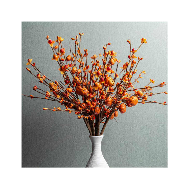 Trader Joe’s “Pumpkin Trees” Are Actually Mini Eggplants | Apartment ...