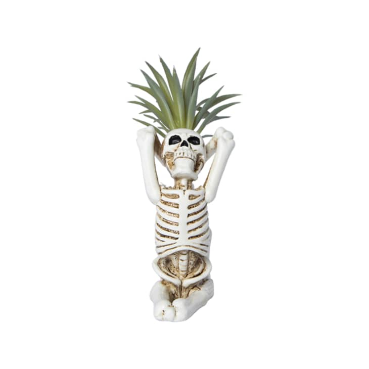This Five Below Trader Joe's Yogi Skeleton Dupe Is Just $3 | Apartment ...