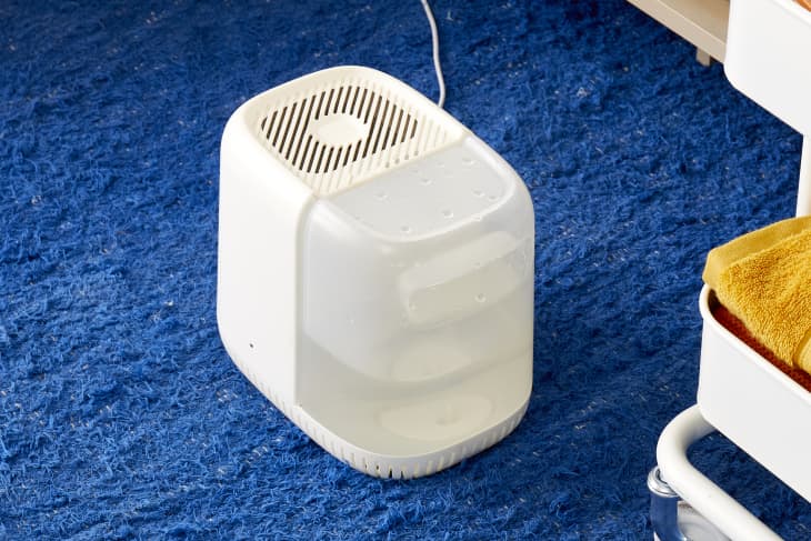 How to Clean a Humidifier with Vinegar | Apartment Therapy