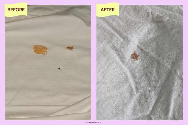 I Tried 8 Different Stain Removers — Here's What Was Best | Apartment ...