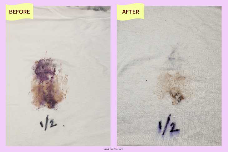 The Easiest Way to Remove Blueberry Stains (With Photos) | Apartment ...
