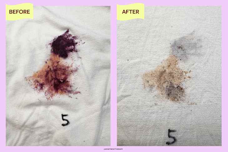 The Easiest Way to Remove Blueberry Stains (With Photos) | Apartment ...