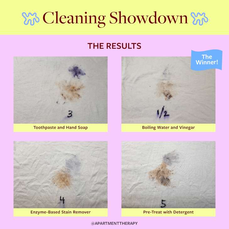 The Easiest Way to Remove Blueberry Stains (With Photos) | Apartment ...