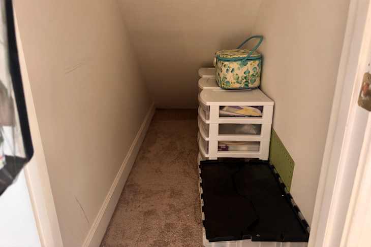 See How a Pro Organizer Fixed My Cluttered Closet | Apartment Therapy