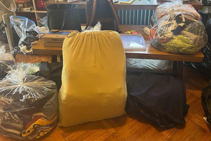 How I Finally Exterminated Clothing Moths From My Apartment | Apartment ...