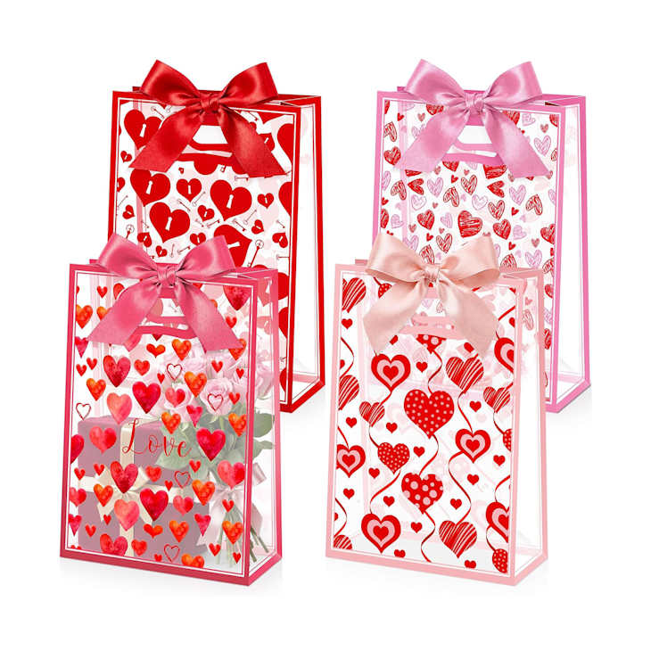 Dollar Tree Valentine’s Frosted Loot Bags Are So Cute and Romantic ...