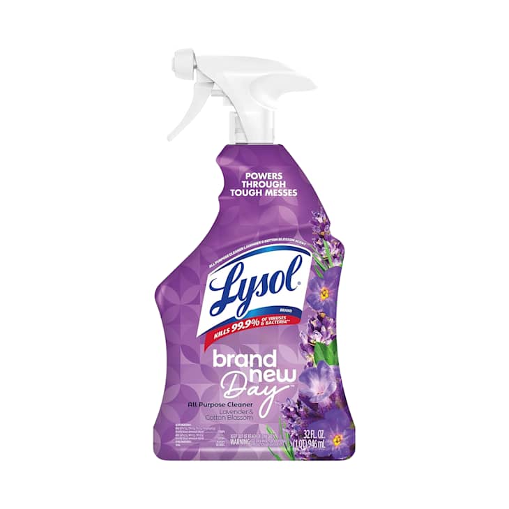 Review: Lysol All Purpose Cleaner Cleans Soap Scum and More | Apartment ...