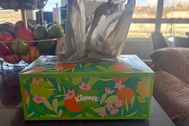 How to Turn a Tissue Box Into a Plastic Grocery Bag Dispenser | The Kitchn