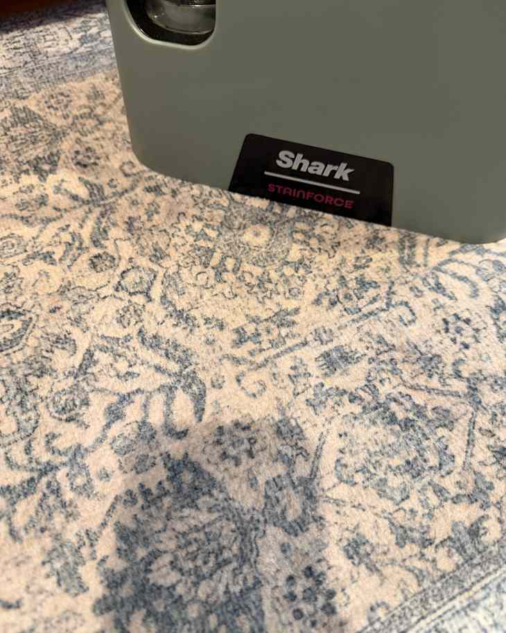 I Tested Shark's StainForce Cordless Spot & Stain Cleaner | Apartment ...
