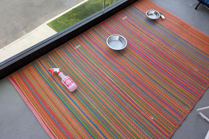 I Tried 3 Methods to Clean My Filthy Outdoor Rug | Apartment Therapy