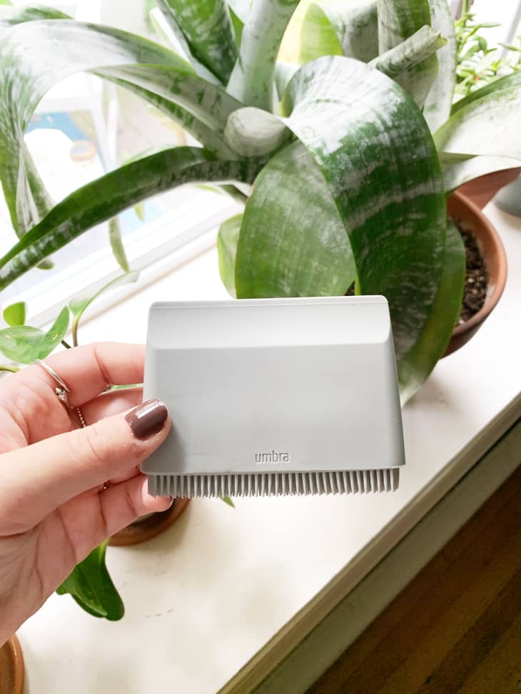 Umbra Flex Small Squeegee Review | The Kitchn