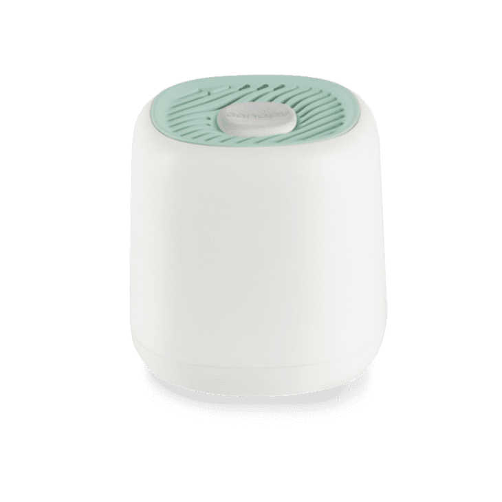 Canopy Home Fragrance Diffuser Review | Apartment Therapy