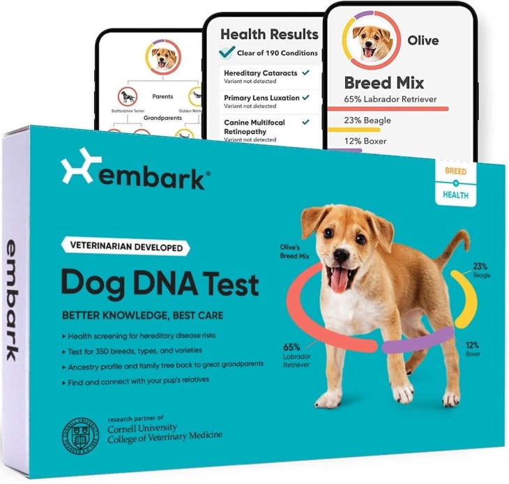 I Tried the Embark Vet Dog DNA Test on My Adopted Pup and Got ...