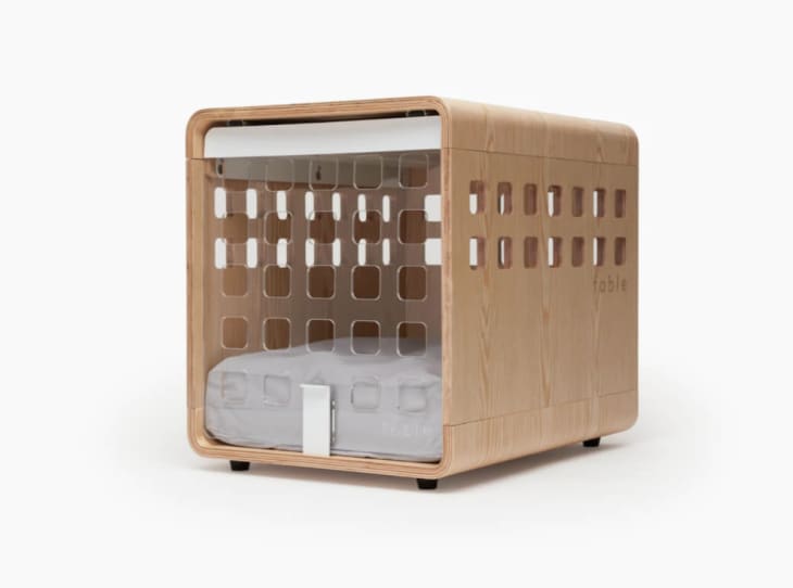 I Tried the Fable Pets Crate and It's a Dog-Parent Upgrade for My Tiny ...