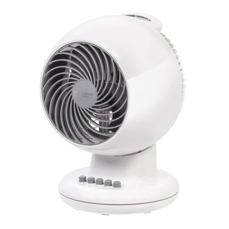 Why the Woozoo Globe Fan from Costco Is the Best Buy for Any Room ...